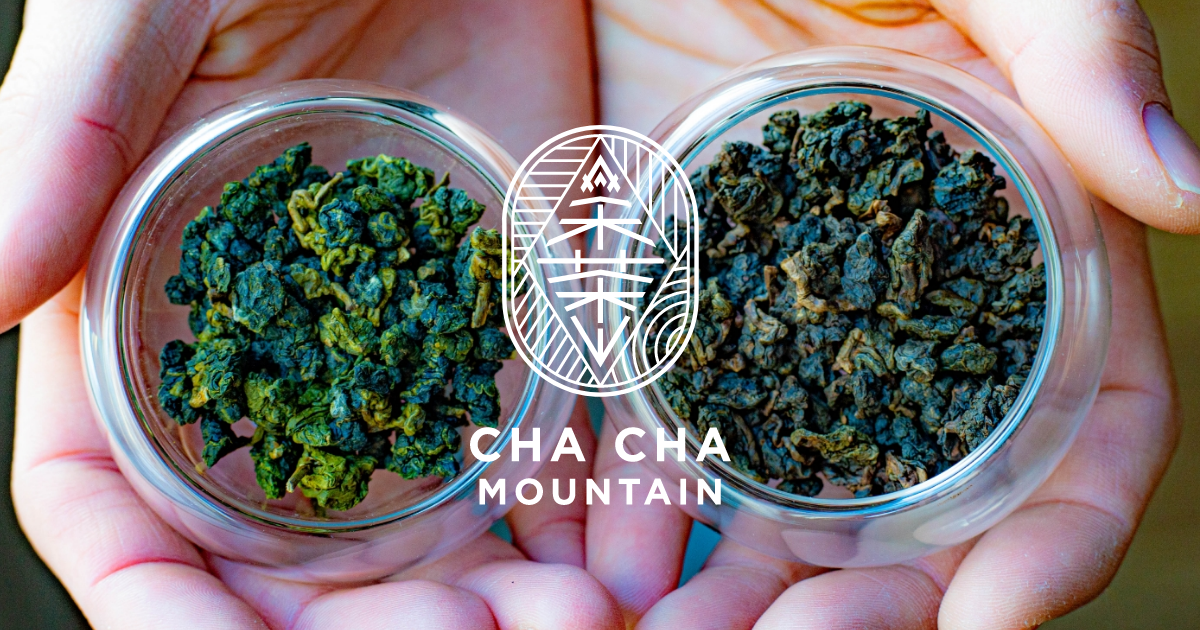 TOP PAGE - Cha Cha Mountain